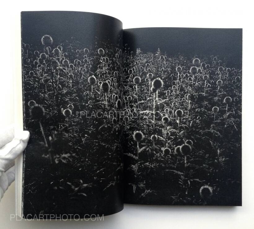 Thomas Vandenberghe: CAN’T PAY YOU TO DISAPPEAR (ONLY 200 COPIES ...